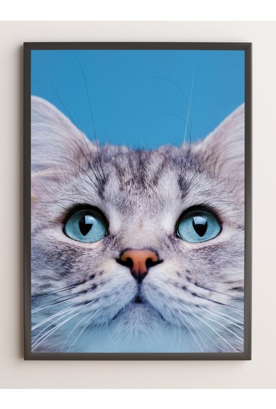 DuoArt Meraklı Kedi Poster - Yüksek Çözünürlük Hd Duvar Posteri - Çerçevesiz