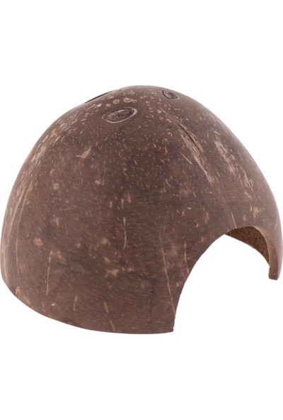 Cadia Hindistan Cevizi Sürüngen Mağarası Gizlemek - Kahverengi (Yurt Dışından)