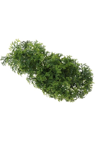 Cadia Sürüngen, Yılan, Kaplumbağa, Vivarium Bitkileri Süsleme Yapay Klorophytum Üzüm (Yurt Dışından) Cadia Sürüngen, Yılan, Kaplumbağa, Vivarium Bitkileri Süsleme Yapay Klorophytum Üzüm (Yurt Dışından)