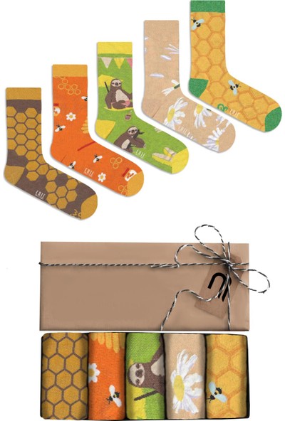 Chie Collection 5'li Bal Temalı Desenli Hediye Kutulu Unisex Renkli Soket Çorap Seti Chie Collection 5'li Bal Temalı Desenli Hediye Kutulu Unisex Renkli Soket Çorap Seti