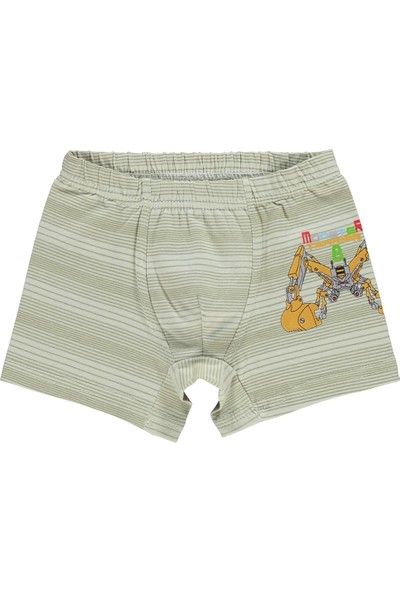 Donella Erkek Çocuk Boxer 2-8 Yaş Bebek Mavi