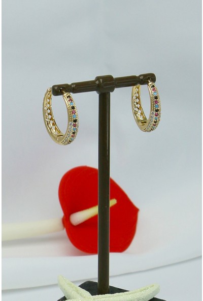 Caisya Butik Xuping Altın Kaplama Kararmaz Vip Seri Halka Çelik Küpe 2cm Caisya Butik Xuping Altın Kaplama Kararmaz Vip Seri Halka Çelik Küpe 2cm