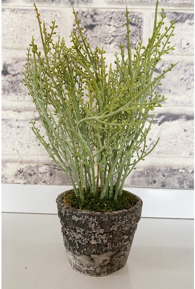 Hediye Vitrini Porselen Saksı Da Yeşil Mine Çiçeği Yoğun Dallı 28 cm