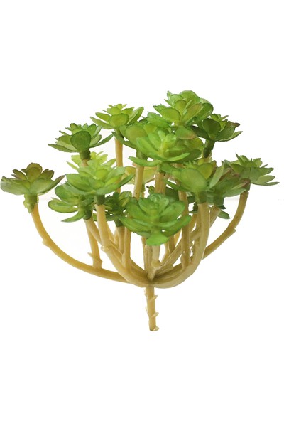Yapay Çiçek Teraryum Yapay Sukulent Çok Çiçekli 1.kalite Gerçek Dokunuş 10 cm Yapay Çiçek Teraryum Yapay Sukulent Çok Çiçekli 1.kalite Gerçek Dokunuş 10 cm