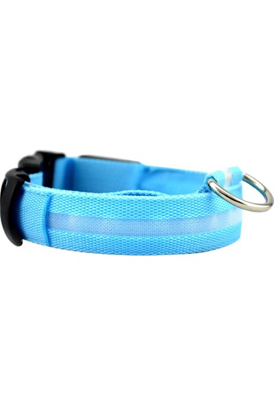 Eternal Evcil Hayvan Boyun Tasması (Yurt Dışından)