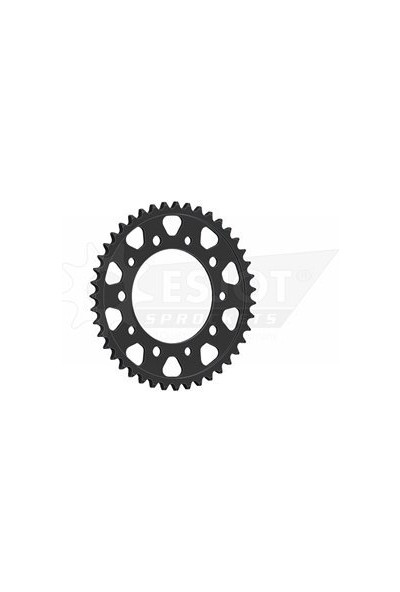 Esjot Honda Cbf 1000 Esjot 43 Arka Dişli Esjot Honda Cbf 1000 Esjot 43 Arka Dişli