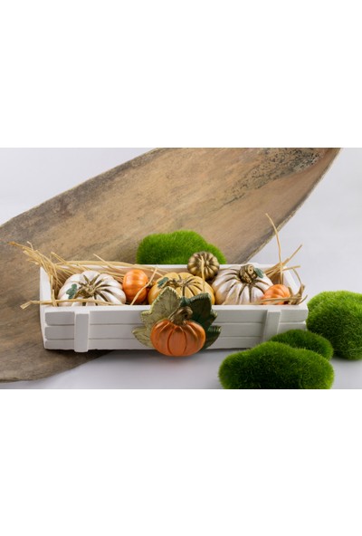Reynes Balkabağı Dekor Set Kasa Set Halloween Biblo Dekoratif Kabak Obje Reynes Balkabağı Dekor Set Kasa Set Halloween Biblo Dekoratif Kabak Obje