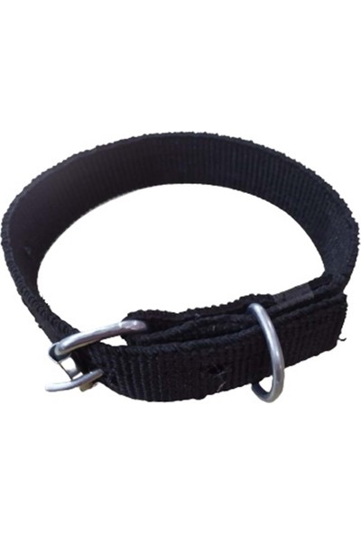 Varsakaca 2.5X42 cm Kolon Köpek Tasması Varsakaca 2.5X42 cm Kolon Köpek Tasması