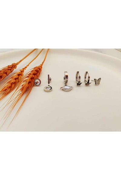 Eva Takı 6'lı Kelebek - Satürn - Roma Rakamı Çelik Küpe Seti