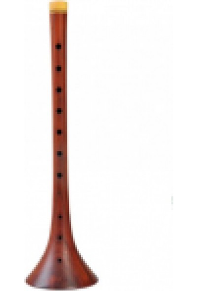 SAZ 220D-SOL Erik Zurna