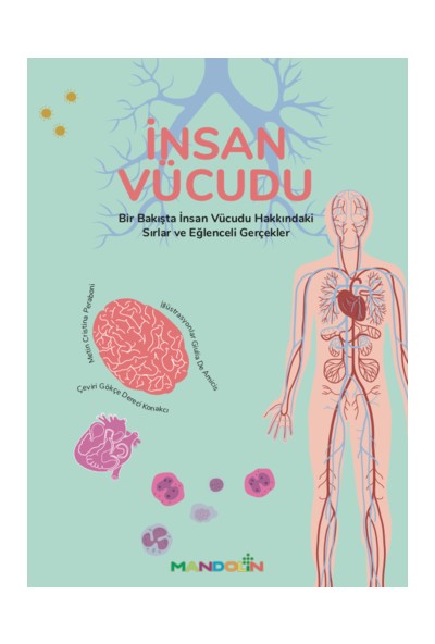 İnsan Vücudu - Cristina Peraboni İnsan Vücudu - Cristina Peraboni