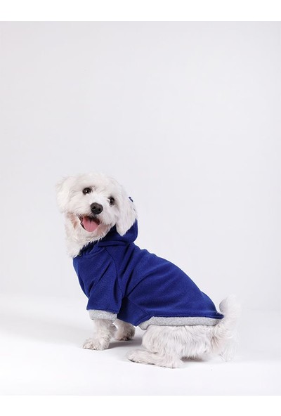 Peti Tailor Köpek Kıyafeti Kapüşonlu Polar Sweatshirt Düz Model Mavi Peti Tailor Köpek Kıyafeti Kapüşonlu Polar Sweatshirt Düz Model Mavi