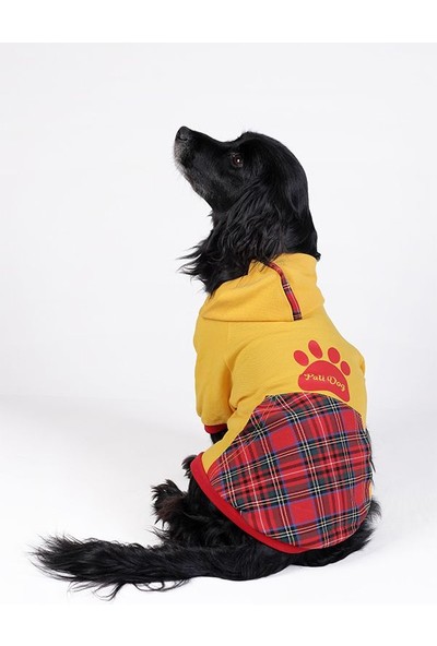 Peti Tailor Köpek Kıyafeti Lacoste Kapüşonlu Ekoseli Kanguru Cepli Sweatshirt Düz Model Sarı Peti Tailor Köpek Kıyafeti Lacoste Kapüşonlu Ekoseli Kanguru Cepli Sweatshirt Düz Model Sarı
