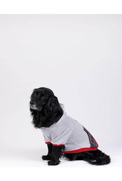 Peti Tailor Köpek Kıyafeti Lacoste Kapüşonlu Ekoseli Kanguru Cepli Sweatshirt Düz Model Gri Peti Tailor Köpek Kıyafeti Lacoste Kapüşonlu Ekoseli Kanguru Cepli Sweatshirt Düz Model Gri