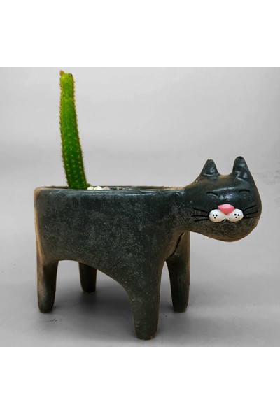 Mowa Sevimli Kedi Saksı