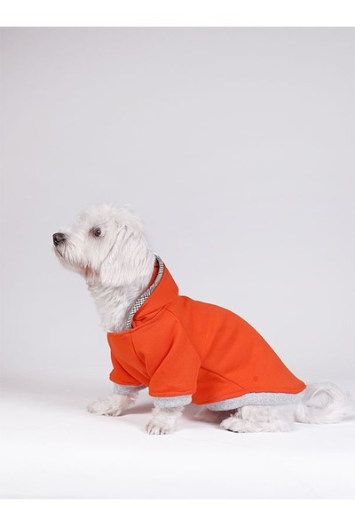 Peti Tailor Köpek Kıyafeti Üç Iplik Kapüşonlu Sweatshirt Turuncu Peti Tailor Köpek Kıyafeti Üç Iplik Kapüşonlu Sweatshirt Turuncu