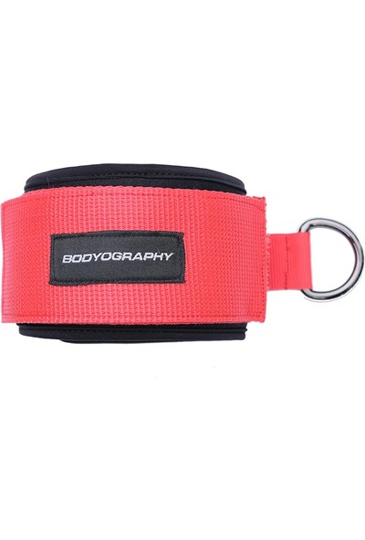 Bodyography Bilek Bağlantı Aparatı-Kalça Bacak Bel Çalıştırıcı