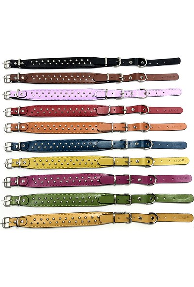 M-DCA-4112 Çift Tokalı Aksesuarlı Deri Tasması