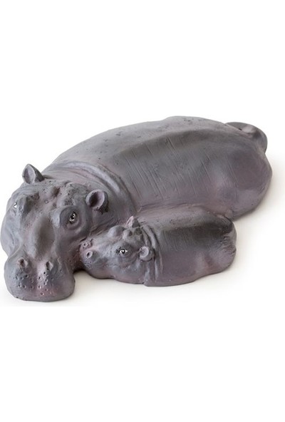 Exo Terra Hipopotam Kaplumbağa Adası