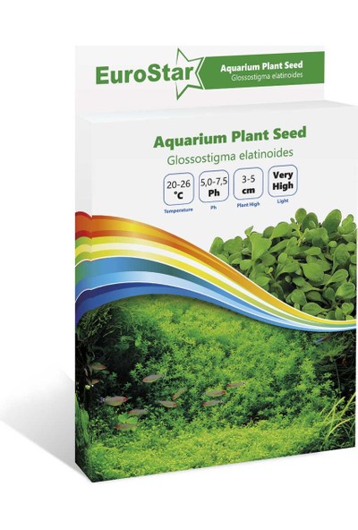 Eurostar Bitki Tohum Glossostigma Elatinoides
