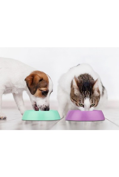 Mikopet Küçük Yuvarlak Mama Kabı-