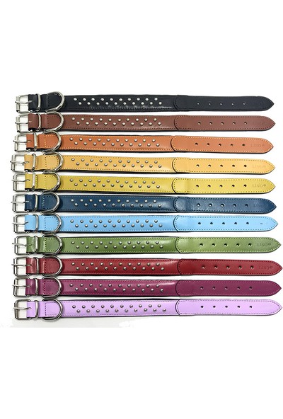 S-DAK3001 Aksesuarlı Deri Boyun Tasması