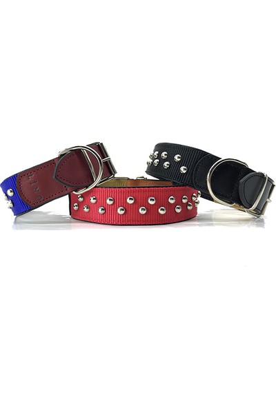S-911 Deri Aksesuarlı Boyun Tasması
