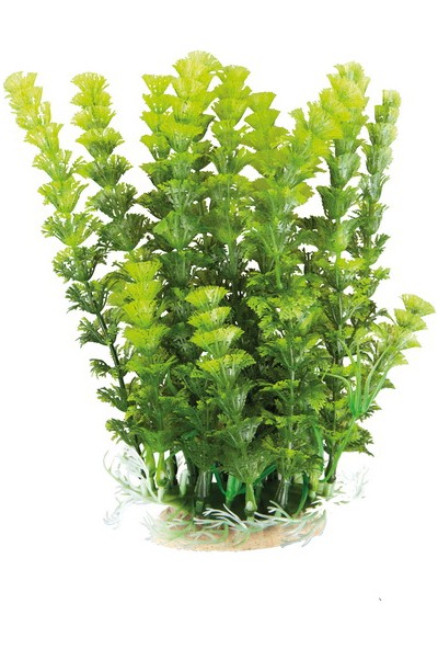 927202 Plastik Bitki 15-20CM 927202 Plastik Bitki 15-20CM