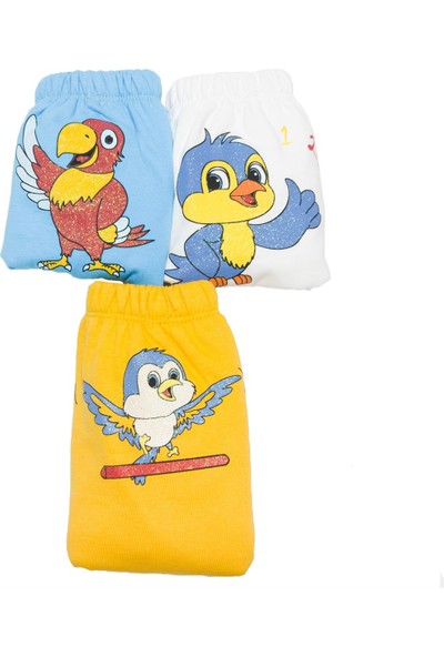 Papido 3'lü Kuş Serisi 1 Alıştırma Külodu Erkek Bebek No1 10-15 kg Karışık Papido 3'lü Kuş Serisi 1 Alıştırma Külodu Erkek Bebek No1 10-15 kg Karışık