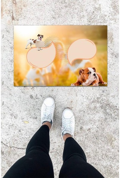 Anl Company Dijital Baskı Renkli Köpek Desen Kapı Önü Paspası PS1408