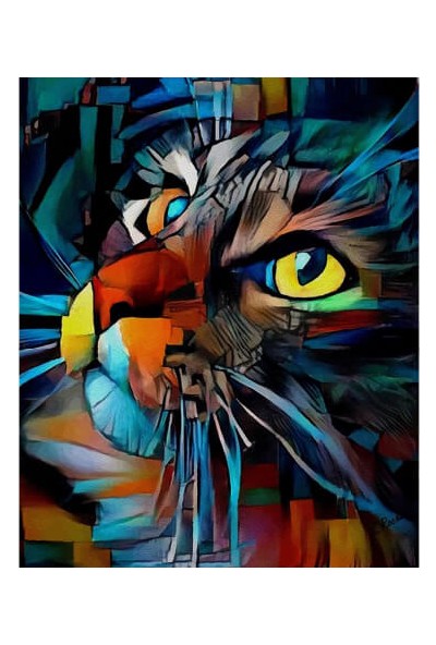 Anl Canvas Kedinin Bakışı 2 Sayılarla Boyama Seti Kasnaklı 60 x 75 cm Anl Canvas Kedinin Bakışı 2 Sayılarla Boyama Seti Kasnaklı 60 x 75 cm