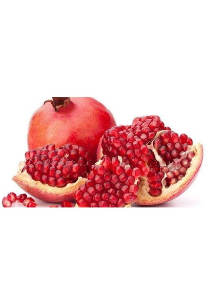 Peyzaj Yağmur Tüplü Fidan Wonderful Nar Fidanı(5 Adet)