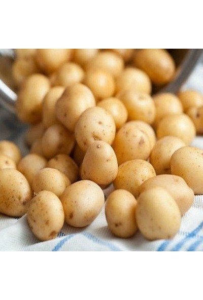 Ekim Tarım Baby Patates Naturel Üretim 1 kg