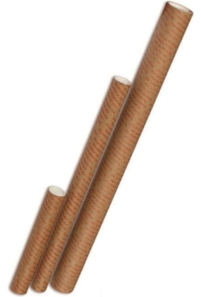 Alex Schoeller Proje Tüpü 7,6X100 cm Postüp ALX-825