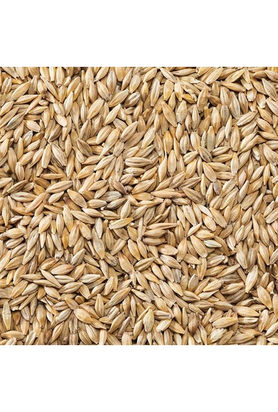 Tungaş Yemlik Buğday, Tavuk Yemi ( Tungaş) 10KG Tungaş Yemlik Buğday, Tavuk Yemi ( Tungaş) 10KG