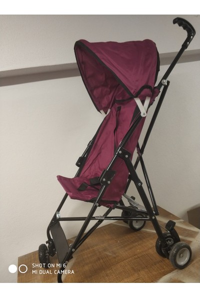 Katlanır Baston Puset Gül Kurusu