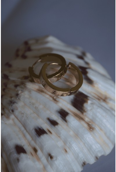 Takı Vadisi Altın Kaplama Çelik Kararmaz Kadın Küpe