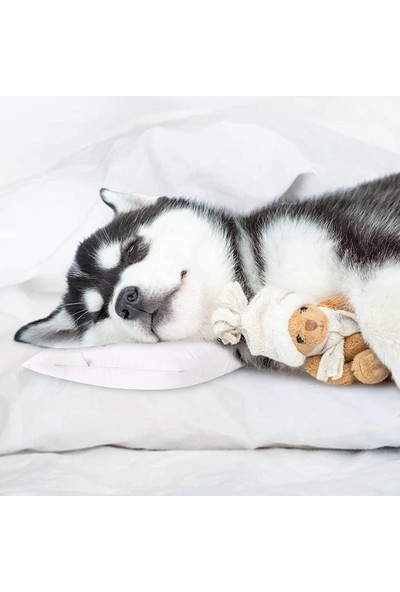 Iz Concept Ultra Yumuşak Çok Amaçlı Boyun Dinlendirme Yastığı 25X35 Ortopedik 130GR-PREMIUM Quality Neck Pillow