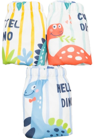 Papido 3'lü Çizgili Dino Baskılı Alıştırma Külodu Erkek Bebek No2 15-20 kg Karışık Papido 3'lü Çizgili Dino Baskılı Alıştırma Külodu Erkek Bebek No2 15-20 kg Karışık