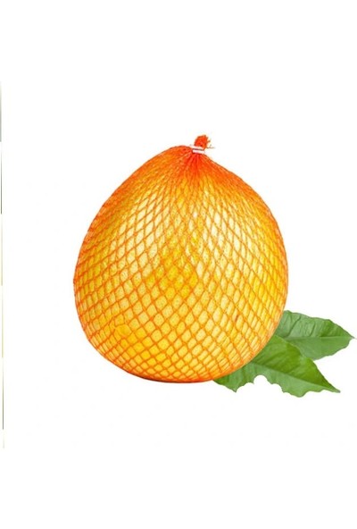 Amour Hub Pamelo Meyvesi