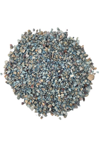 Epoksi Kalıpları Dekoratif Deniz Kabuğu 50GR , Minik Deniz Kabukları Epoksi Kalıpları Dekoratif Deniz Kabuğu 50GR , Minik Deniz Kabukları