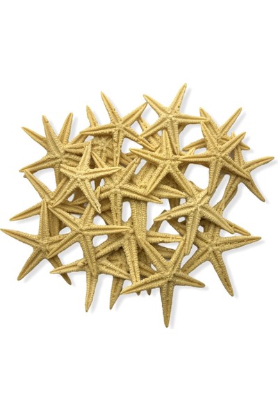 Epoksi Kalıpları Yapay Deniz Yıldızı , Epoksi Malzemeleri, Mum Malzemeleri 10 Adet