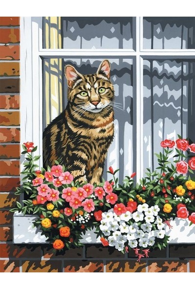 Hobi Tedarik Camdaki Kedi Çerçevesiz 40X50 Sayılarla Boyama Hobi Seti