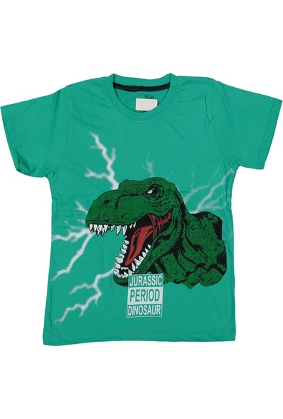Dino Baskılı Erkek Çocuk T Şhırt