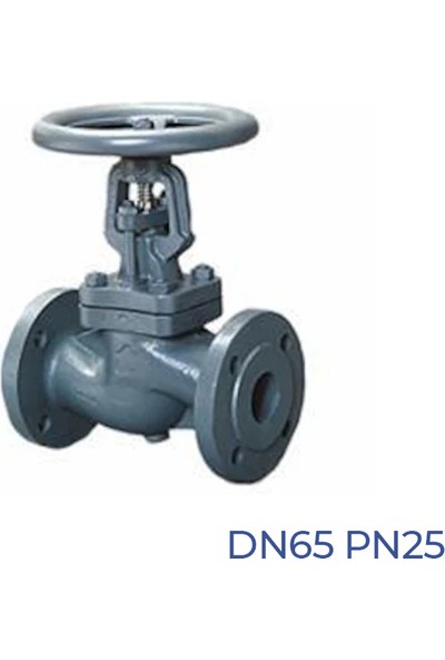 Termo Glob Vana DN65 PN25 Fl