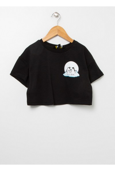 National Geographic T-, 15-16 Yaş, Siyah