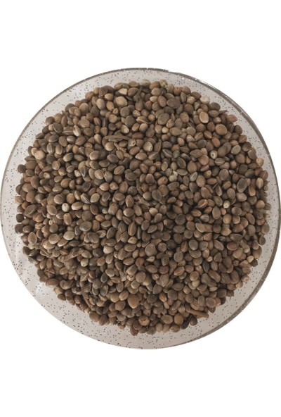Poyraz Pett Vivid Kenevir Kendir Tohumu 1 Kg. Poyraz Pett Vivid Kenevir Kendir Tohumu 1 Kg.