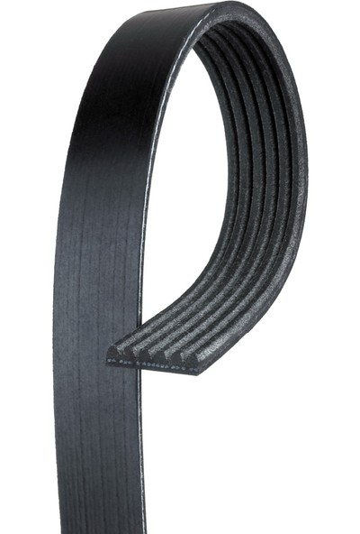 Braxis Gates 6PK1548 Kanallı Kayıs Bmw R19 Golf Iv Bora Octavıa Seat Leon 9806 Volvo 440 480 Braxis Gates 6PK1548 Kanallı Kayıs Bmw R19 Golf Iv Bora Octavıa Seat Leon 9806 Volvo 440 480