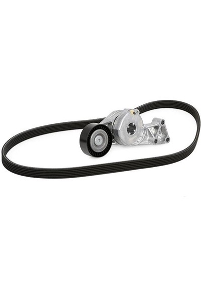 Braxis Gates K046DPK1195 Alternator Gergı Kıtı (Cıft Kanallı Kayıs) Passat Ym Bora Golf Iv Polo Braxis Gates K046DPK1195 Alternator Gergı Kıtı (Cıft Kanallı Kayıs) Passat Ym Bora Golf Iv Polo