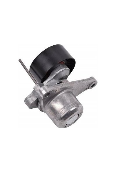 Braxis Gates T38311 Alternator Gergı Rulmanı (Kutuklu)Master Iıı Trafıc Iıı Logan Iıı Koleos Nıssan Xtraıl 2.0 M9R 2.3 M Braxis Gates T38311 Alternator Gergı Rulmanı (Kutuklu)Master Iıı Trafıc Iıı Logan Iıı Koleos Nıssan Xtraıl 2.0 M9R 2.3 M